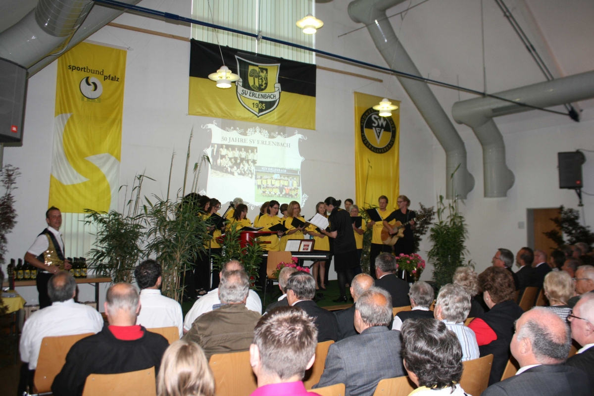 Galerie – SV Erlenbach 1965